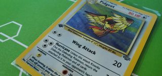 Pidgeot 8/64 HOLO RARE Jungle Set FIRST EDITION Pokemon Card. | #30989615