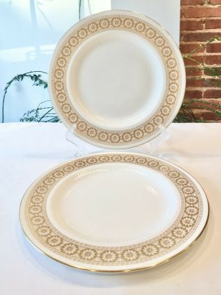 Set Of 2 Vintage Wedgwood Marguerite Dinner Plates Bone China Rare ...